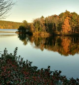 Learn About Your Lakes | Milton NH